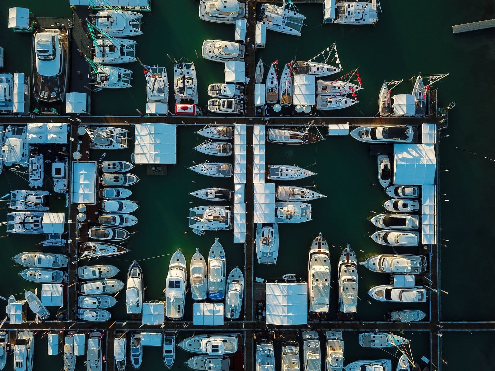 Miami International Boat Show 2020…here we come! - Bahama Boat Works